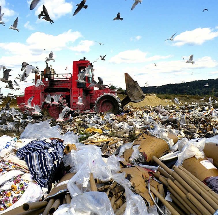 Total Waste Management